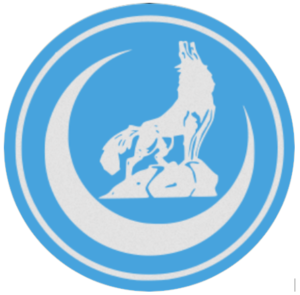 Irregular war and the Mafia in Turkey – Left-Horizons