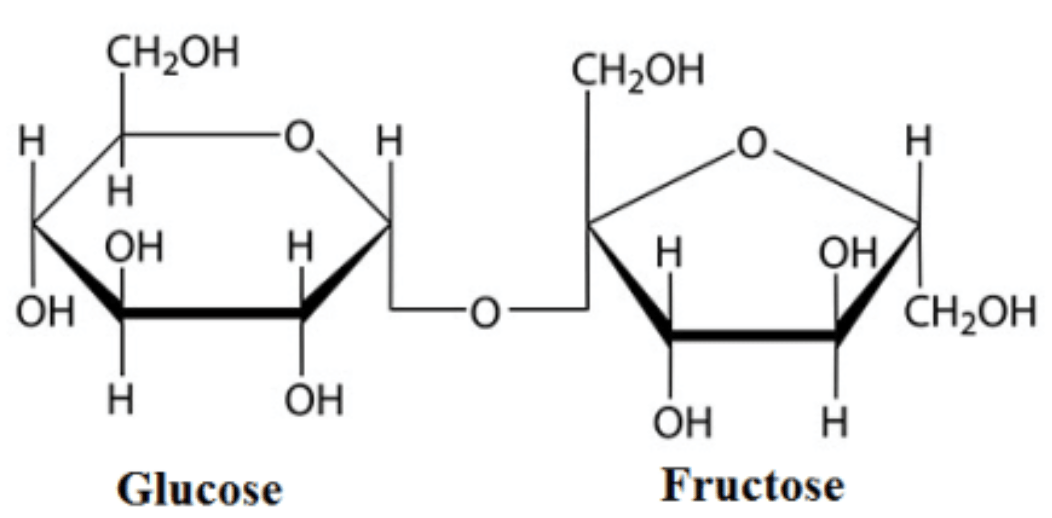 Food, health and politics, part 2: deadly sugar – Left-Horizons